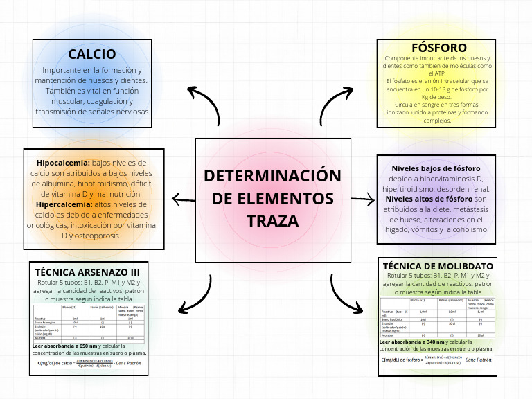 Mapa Conceptual Elementos Traza | PDF | Calcio | Vitamina D