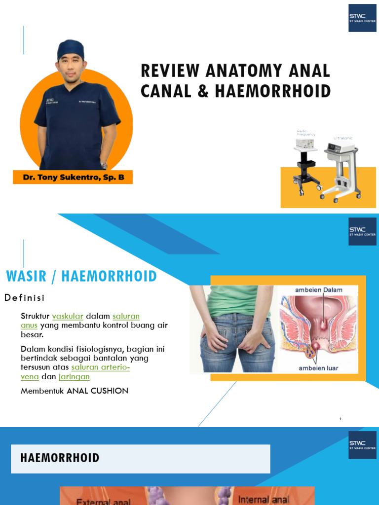 Anatomis Saluran Anus dan Wasir | PDF