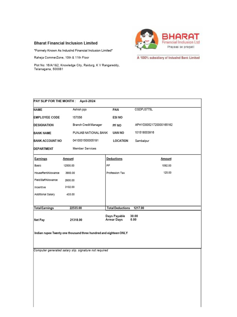 Pay Slip | PDF
