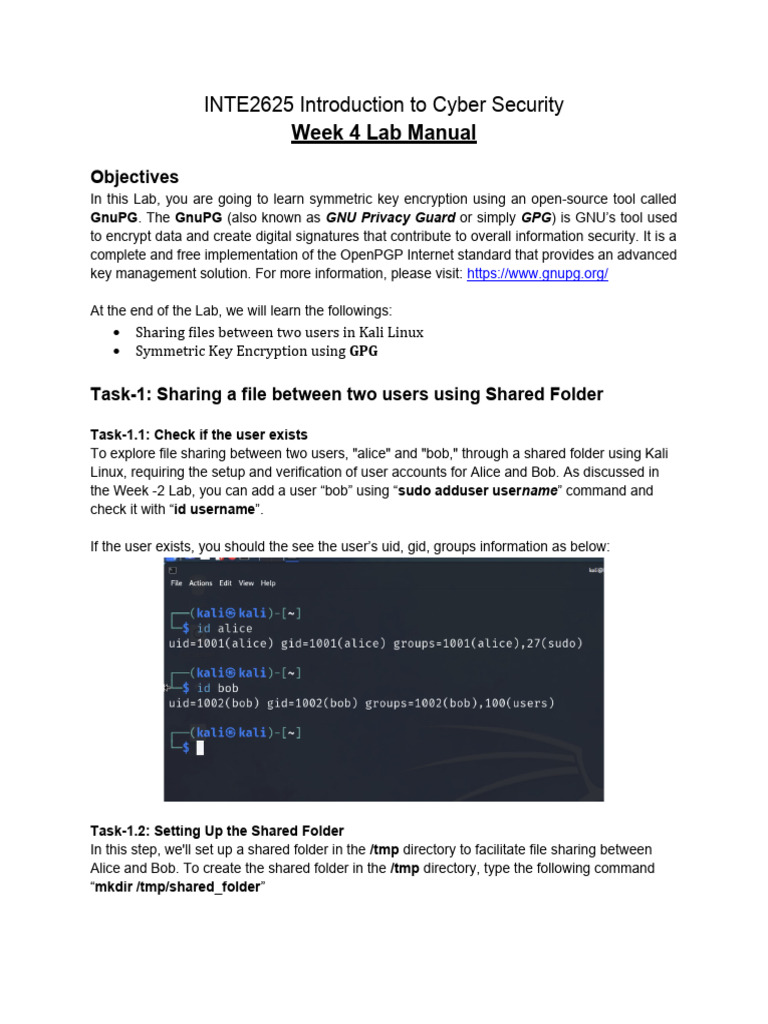 INTE2625 Week 4 Lab Manual | PDF | Encryption | Security Engineering