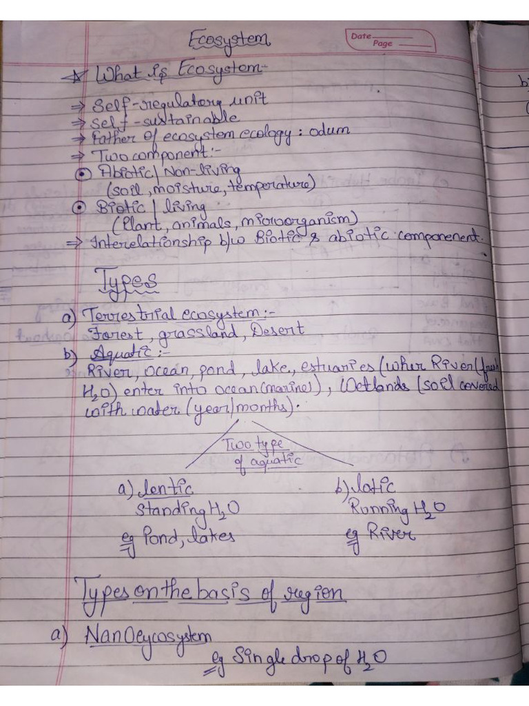 Ecosystem Chapter Notes (NEET) | PDF