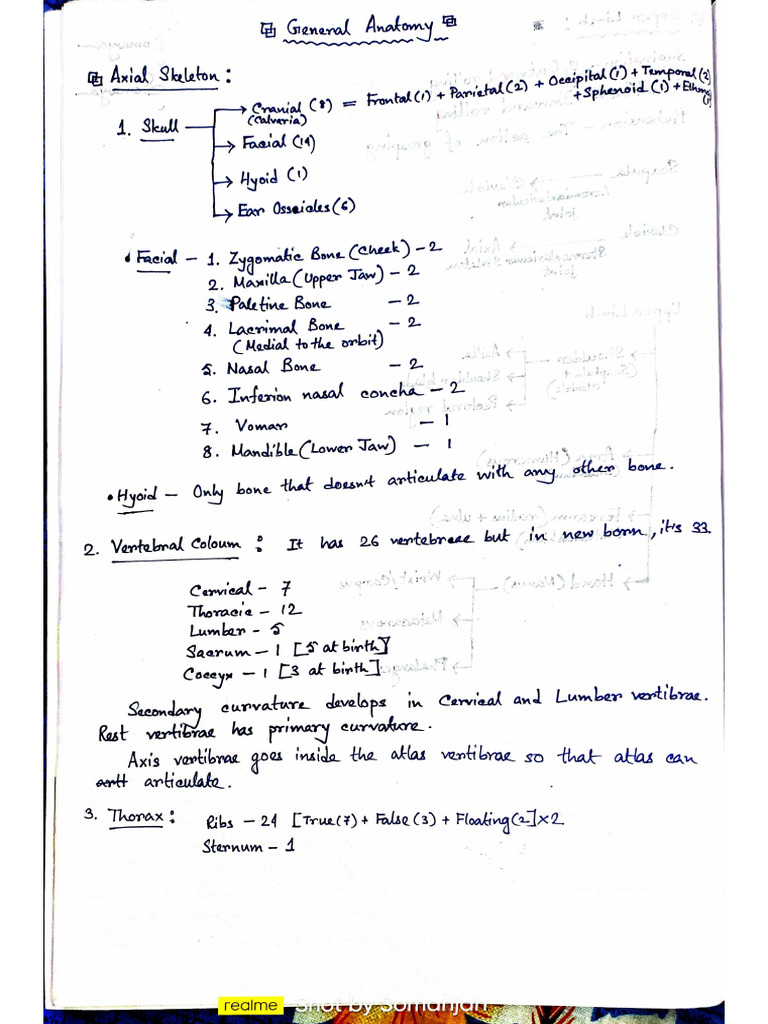 General Anatomy Ashwani Kumar Sir | PDF