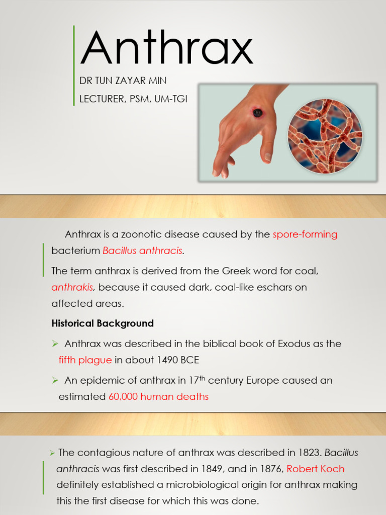 Anthrax | PDF | Anthrax | Animal Diseases