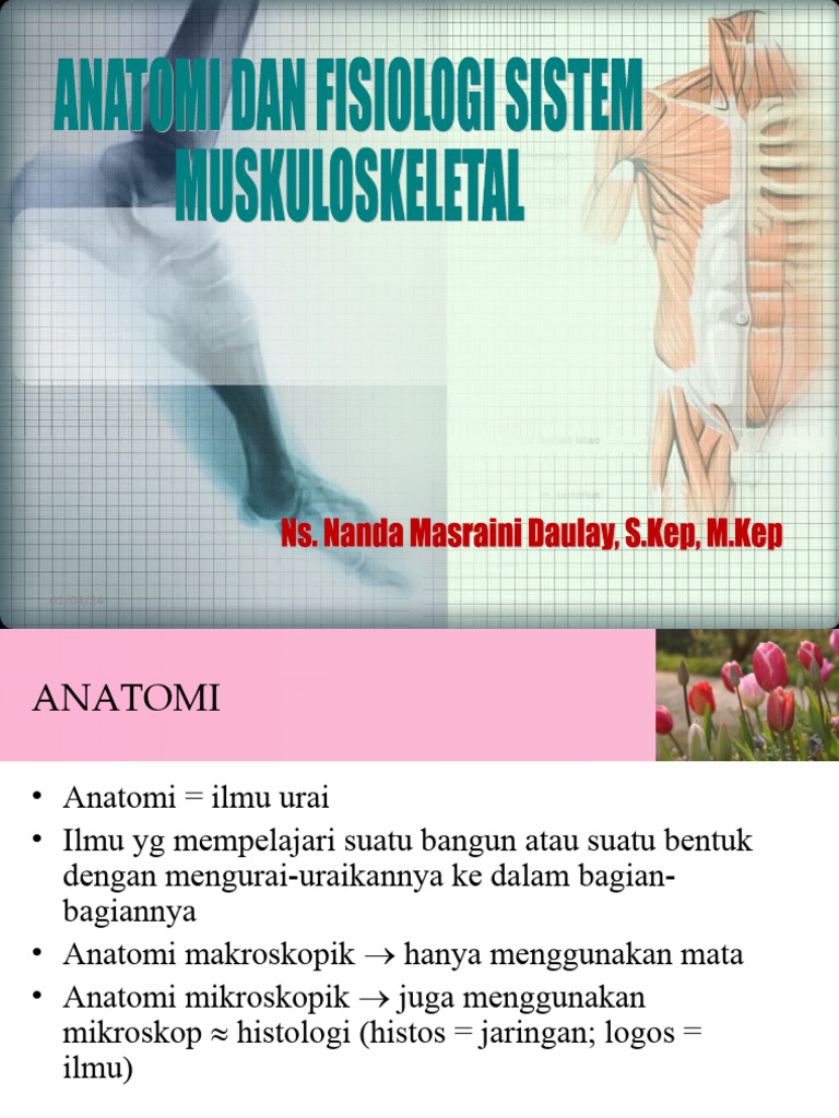 Anatomi Sist. Muskuloskeletal | PDF