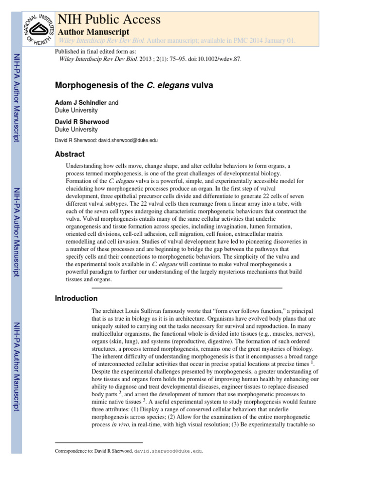 Group 2 | PDF | Cell Cycle | Morphogenesis