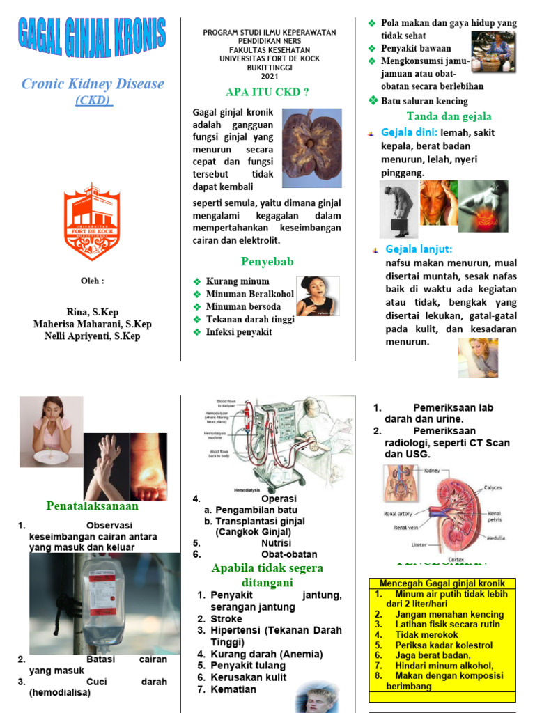 Leaflet Gagal Ginjal CKD - Rina | PDF