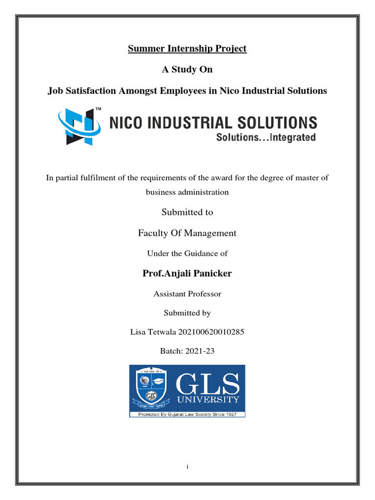 Summer Internship Project (Final) | PDF | Job Satisfaction | Retail