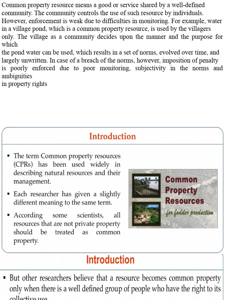 Common Property Resources | PDF