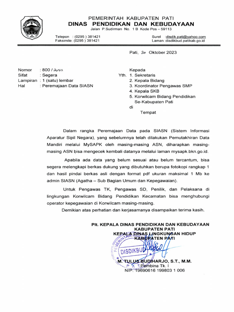Peremajaan Data SIASN | PDF