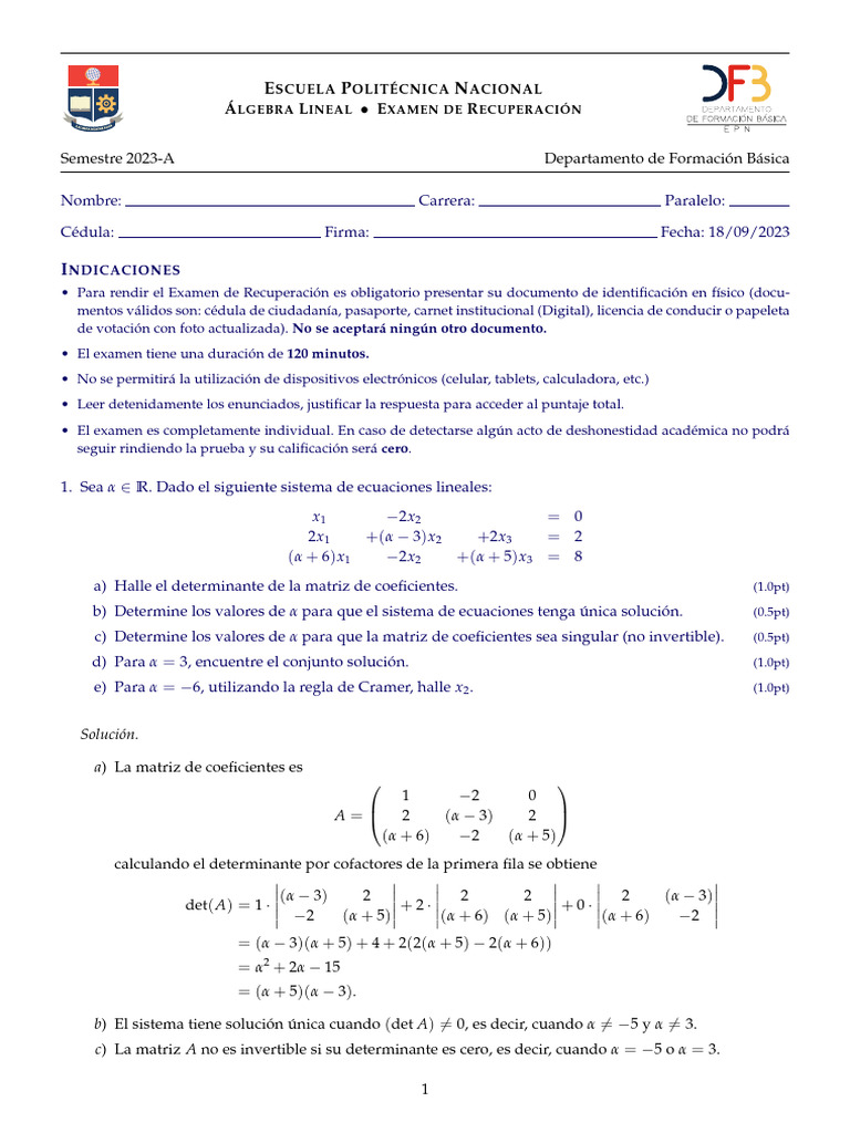 Solucion Ex Recuperacion | PDF | Determinante | Teoría de la matriz