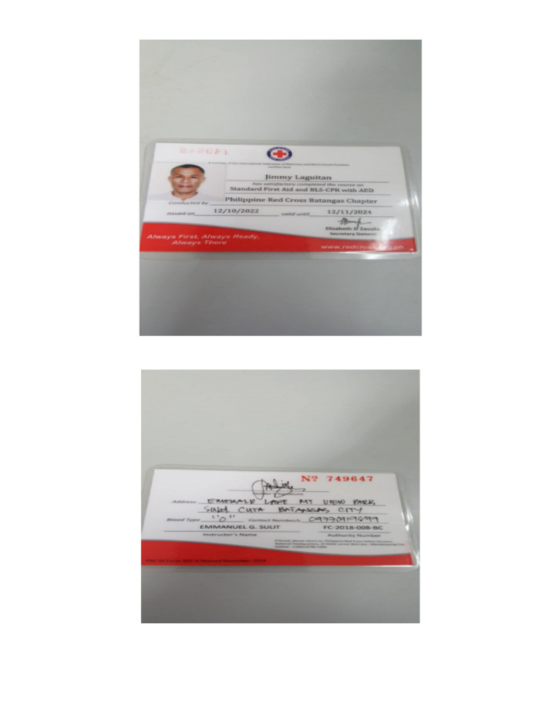 REDCROSS | PDF