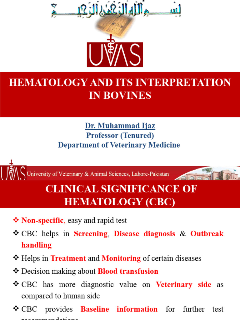 Bovine Hematology: Diagnosis & Insights | PDF | Anemia | Hematology