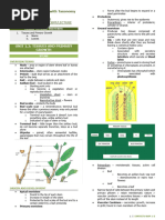 EXERCISE 15 Botany Lab | PDF | Plant Stem | Botany