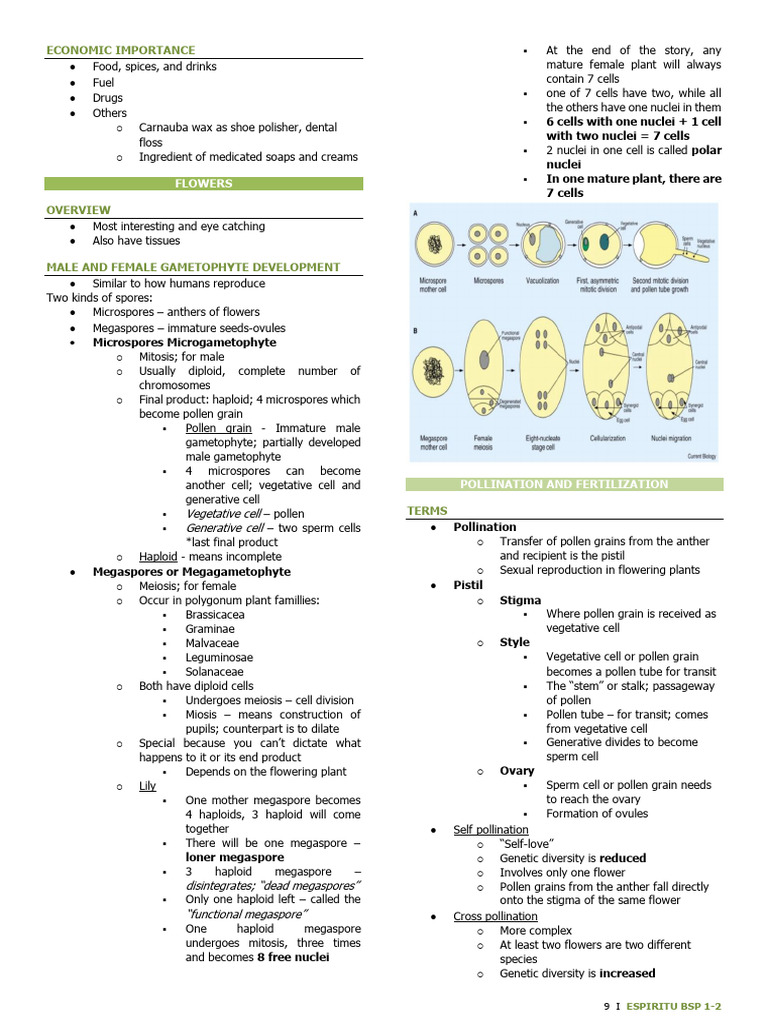 Flower Structure and Reproduction Guide | PDF | Flowers | Pollination