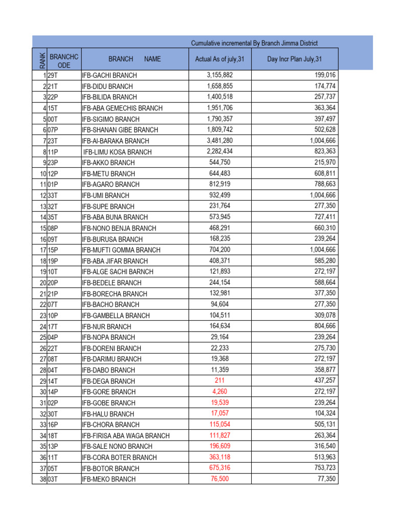 Jimma District by Branch Plan and Perfor May 2024-3 | PDF