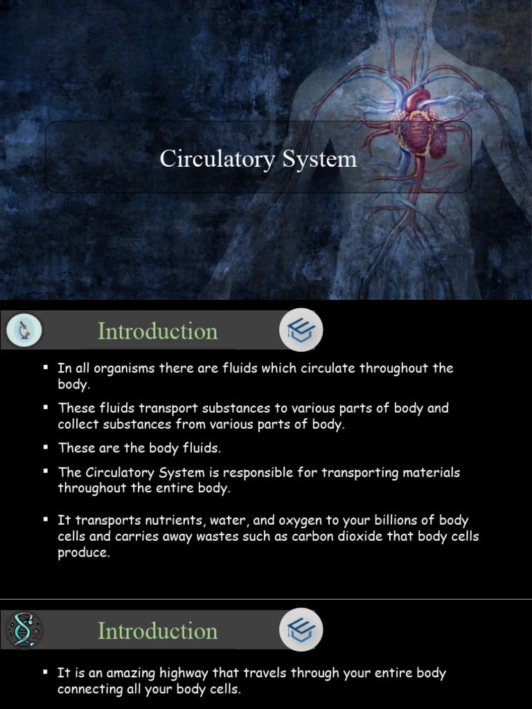 Overview of the Circulatory System | PDF | Coagulation | Lymph