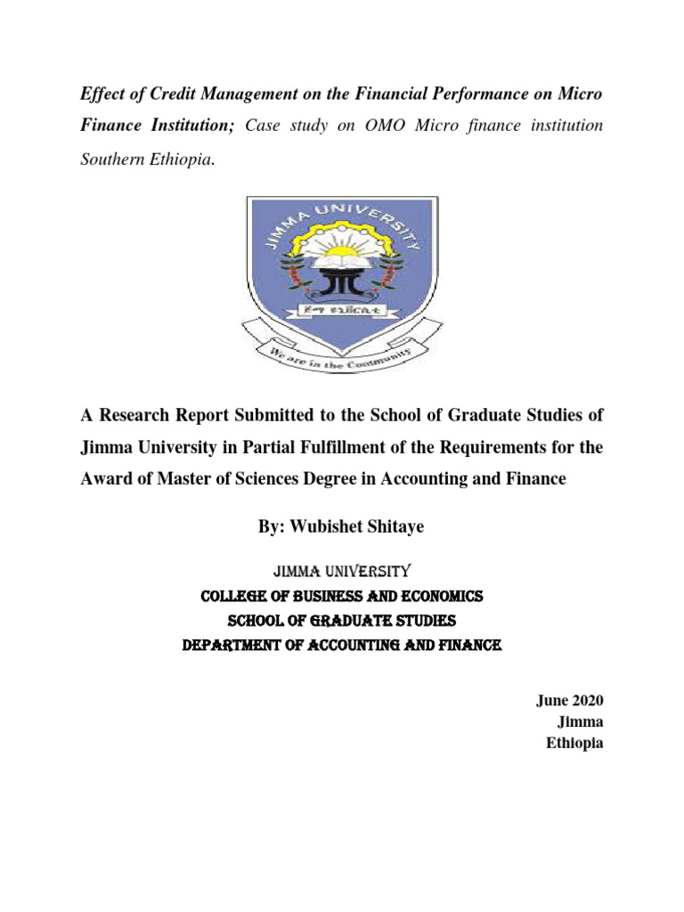 Wubishet Shitaye | PDF | Microfinance | Finance & Money Management