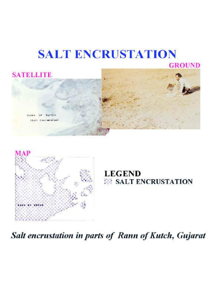 Salt Encrustation | PDF