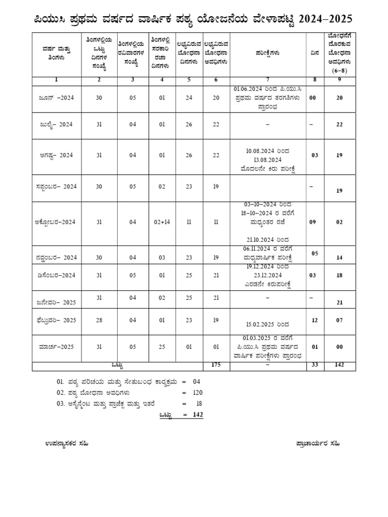 Puc First Year Plan | PDF