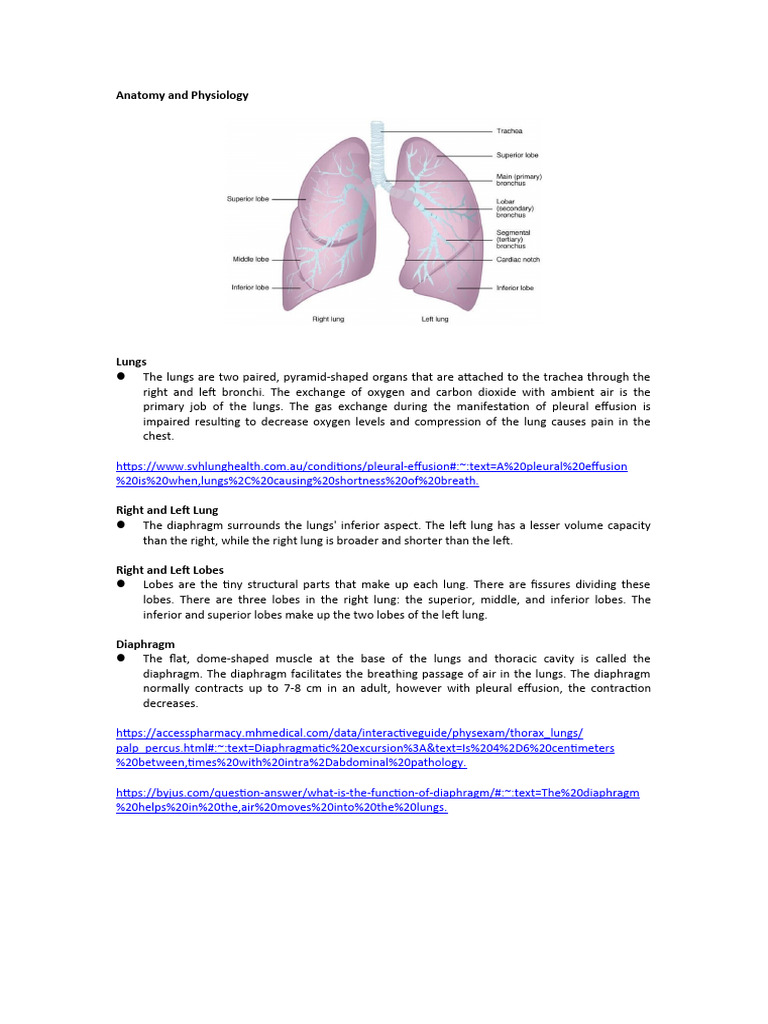 Anatomy and Physiology | PDF | Lung | Thorax (Human Anatomy)