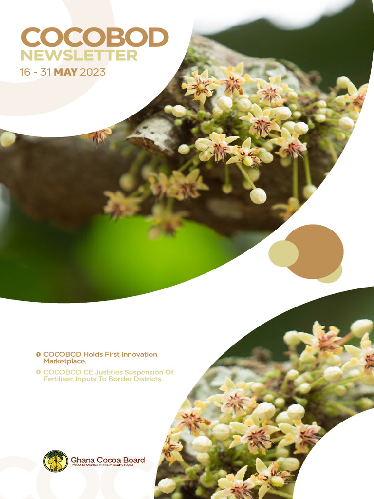 COCOBOD Innovation Marketplace Highlights | PDF | Cocoa Bean | Theobroma