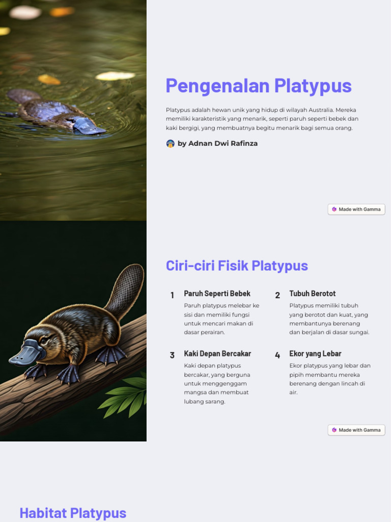 Pengenalan Platypus | PDF