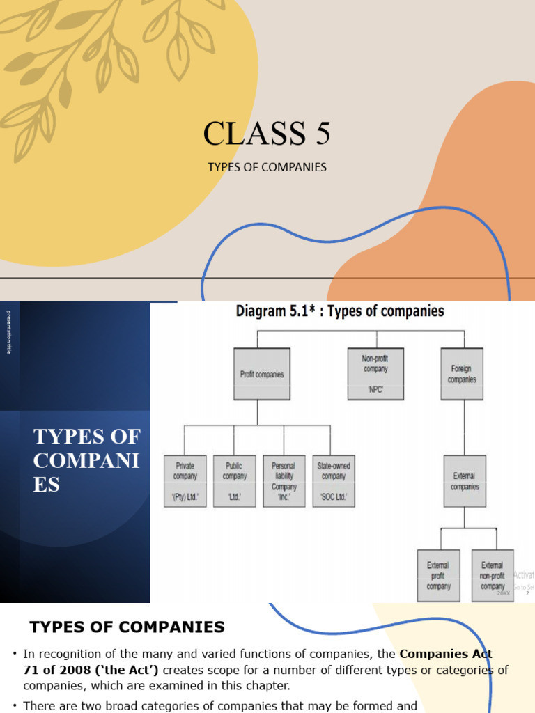 Types of Companies Explained | PDF | Privately Held Company | Companies