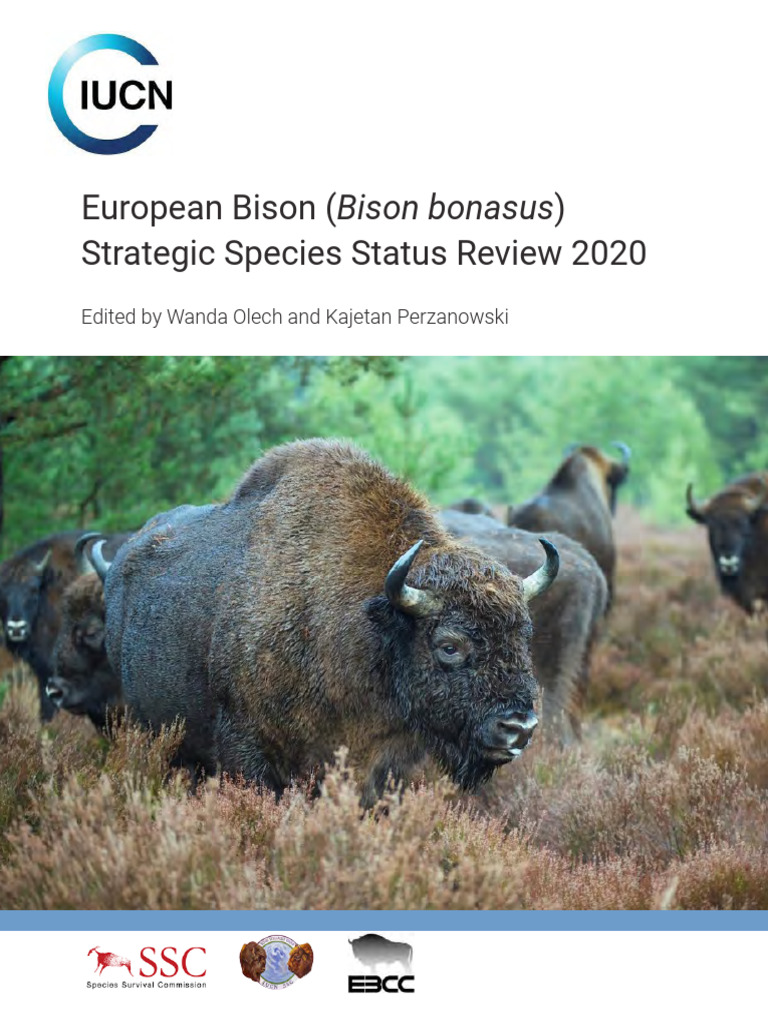 European Bison Status 2020 | PDF | Bison