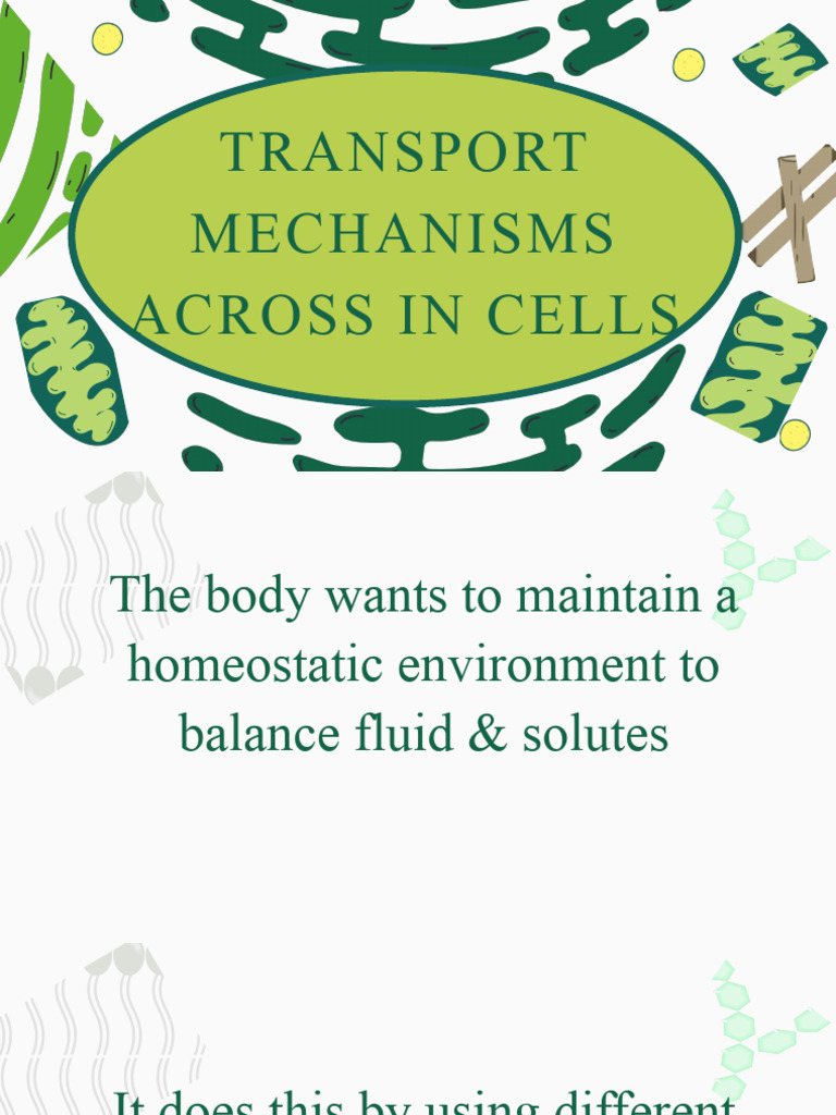 Transport Mechanism Across The Cell | PDF | Osmosis | Cell Membrane