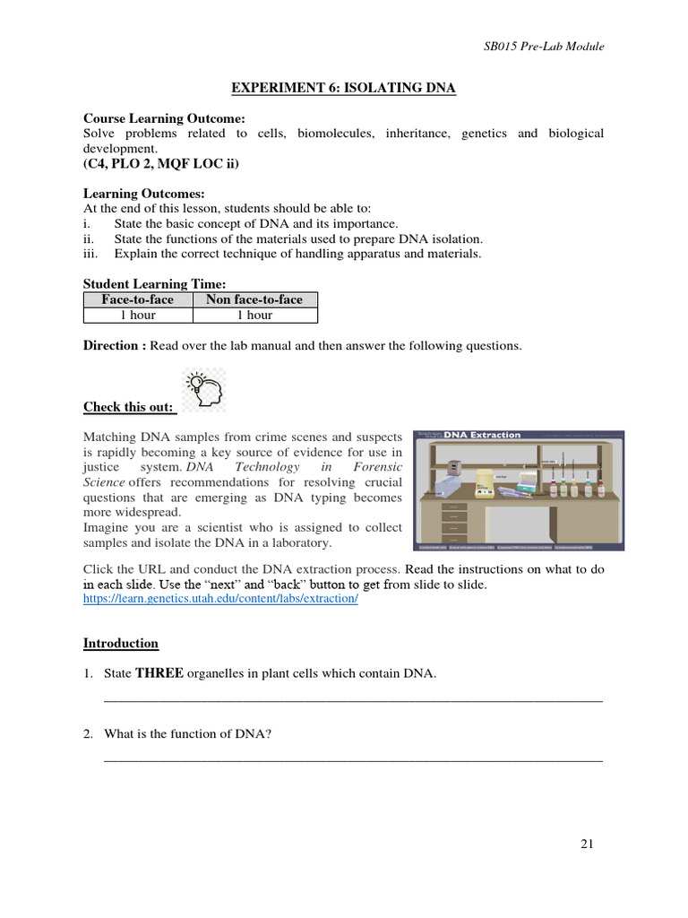 DNA Isolation Experiment Guide | PDF | Cell (Biology) | Dna