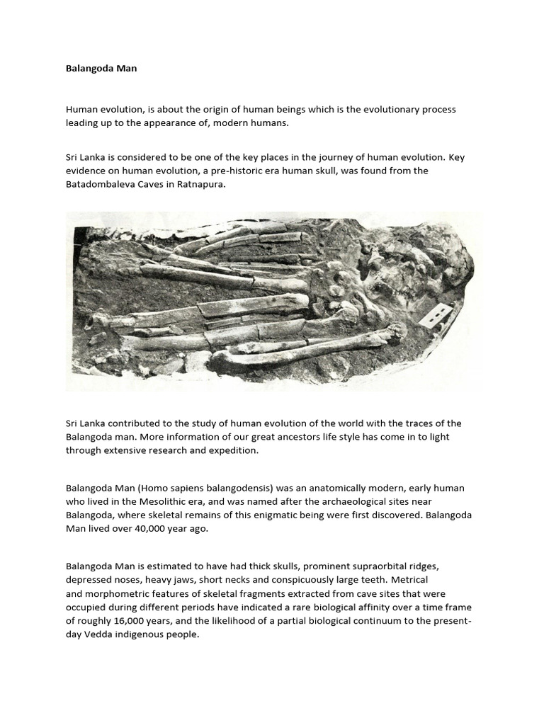 Balangoda Man: Sri Lanka's Ancient Ancestor | PDF