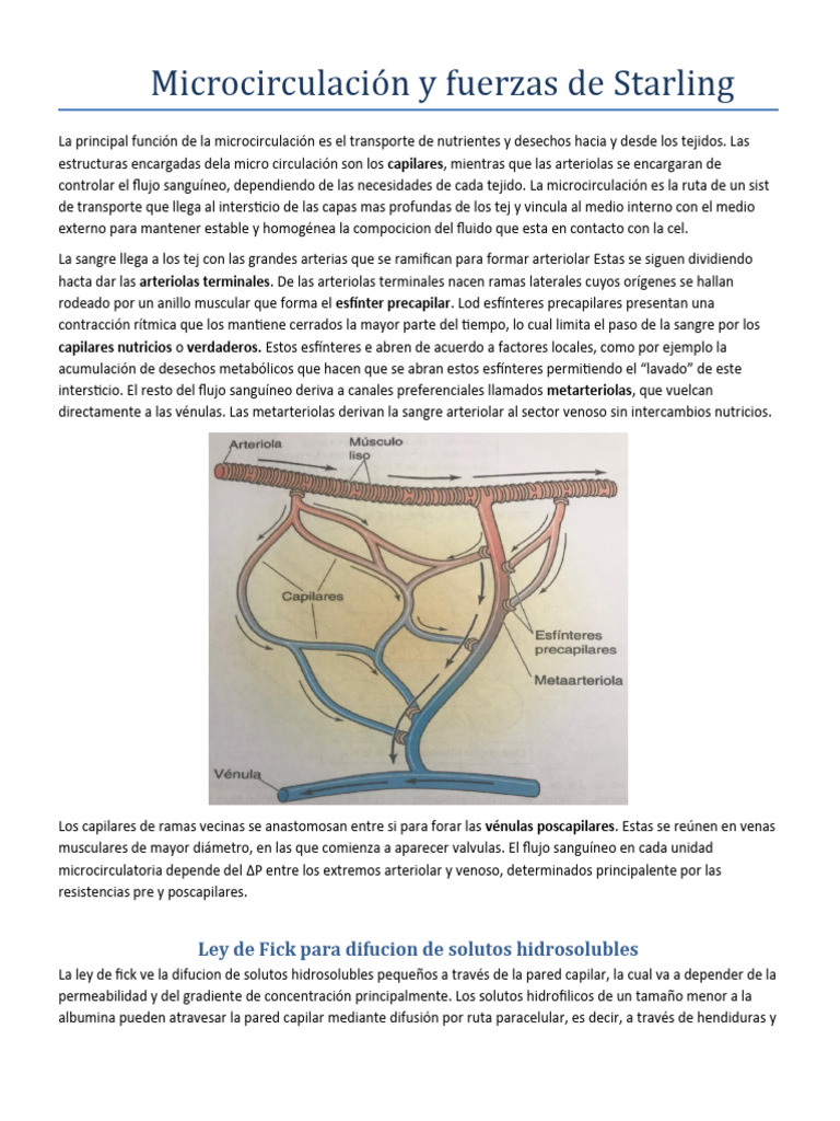 Microcirculación y Fuerzas de Starling | PDF | Edema | Sistema circulatorio