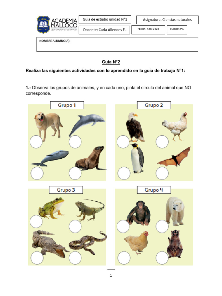 Guía 2 Cs Naturales 2° | PDF | Esqueleto | Vertebrados
