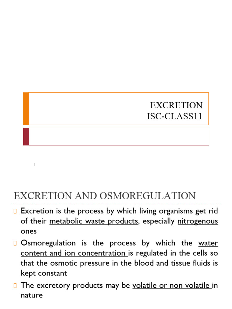 Unit 5 - Chapter 19 - Excretory Products and Their Elimination - 2022 ...
