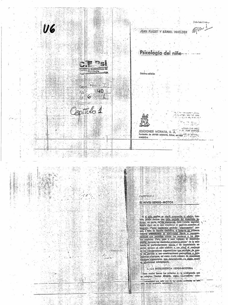 Piaget e Inhelder. Psicología Del Niño. Cap.1 | PDF