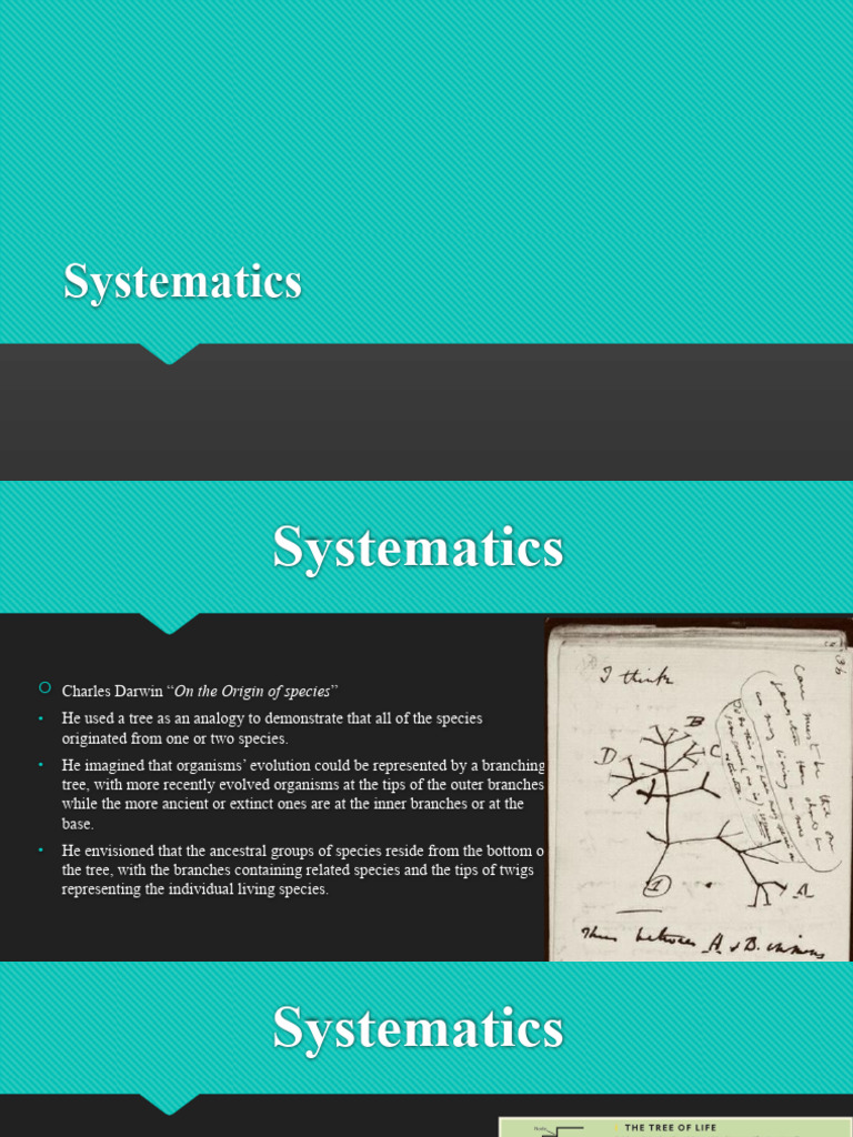 Systematics | PDF | Phylogenetic Tree | Molecular Phylogenetics