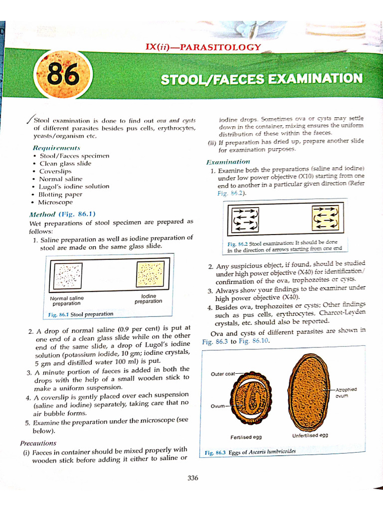 Stool Examination | PDF