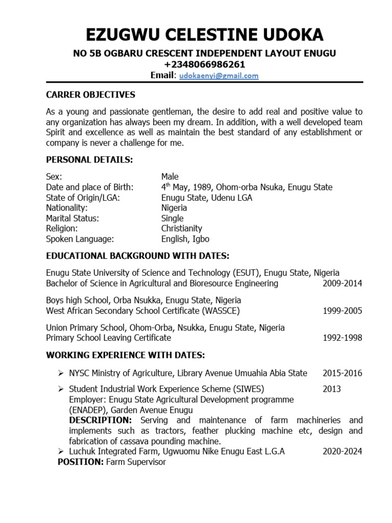 Ezugwu Celestine Udoka CV | PDF