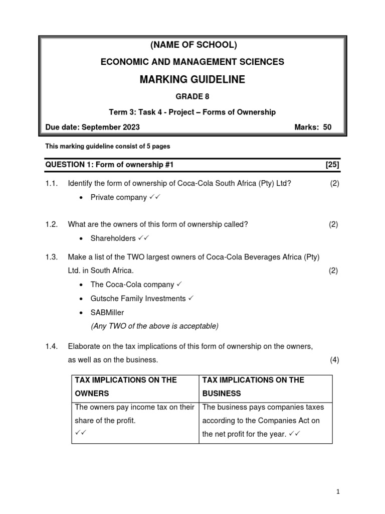 Gr8 Ems Project t3 2023 - Marking Guideline | PDF | Partnership | Dividend