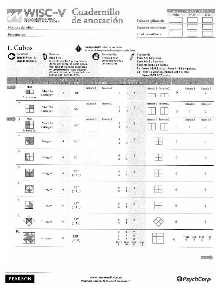 Cuadernillo de Anotacion Wisc 5 | PDF
