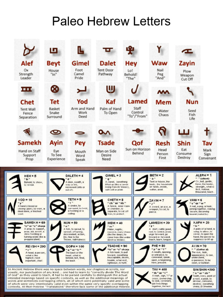 12 Tribe Names 1.1 | PDF | Leah | Jacob