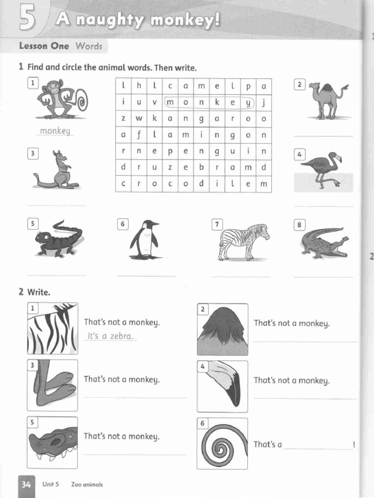 Unit 5 Workbook | PDF