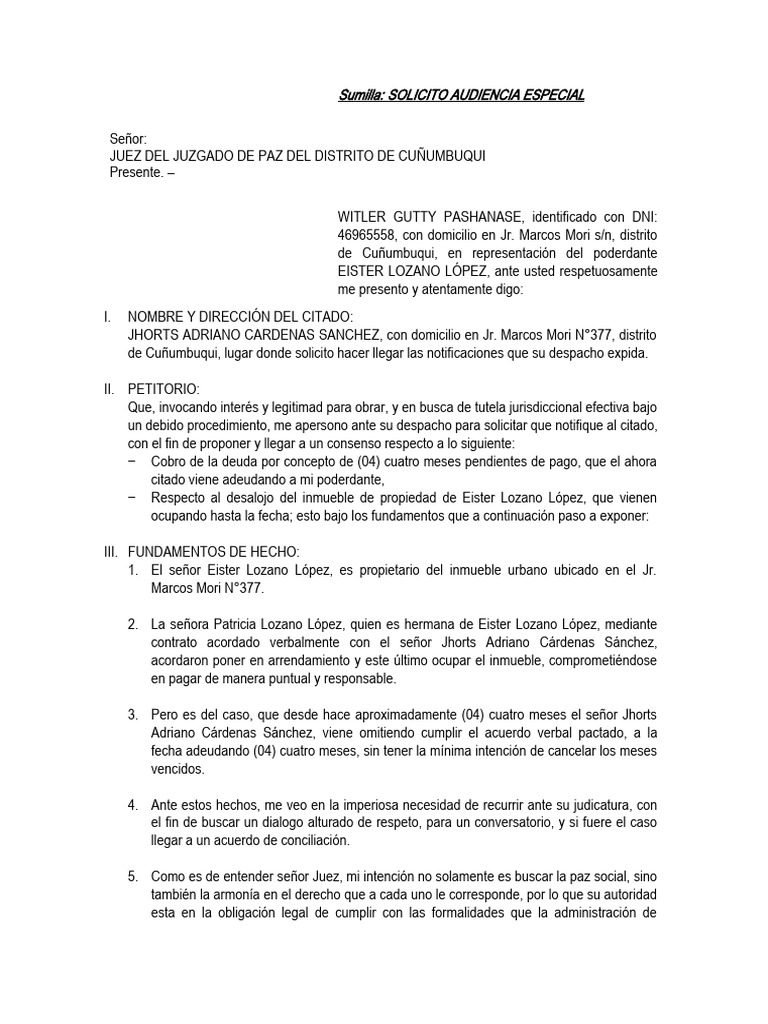Solicito Audiencia | PDF | Gobierno | Justicia