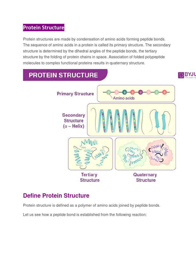 Protein Structure | PDF | Protein Structure | Proteins