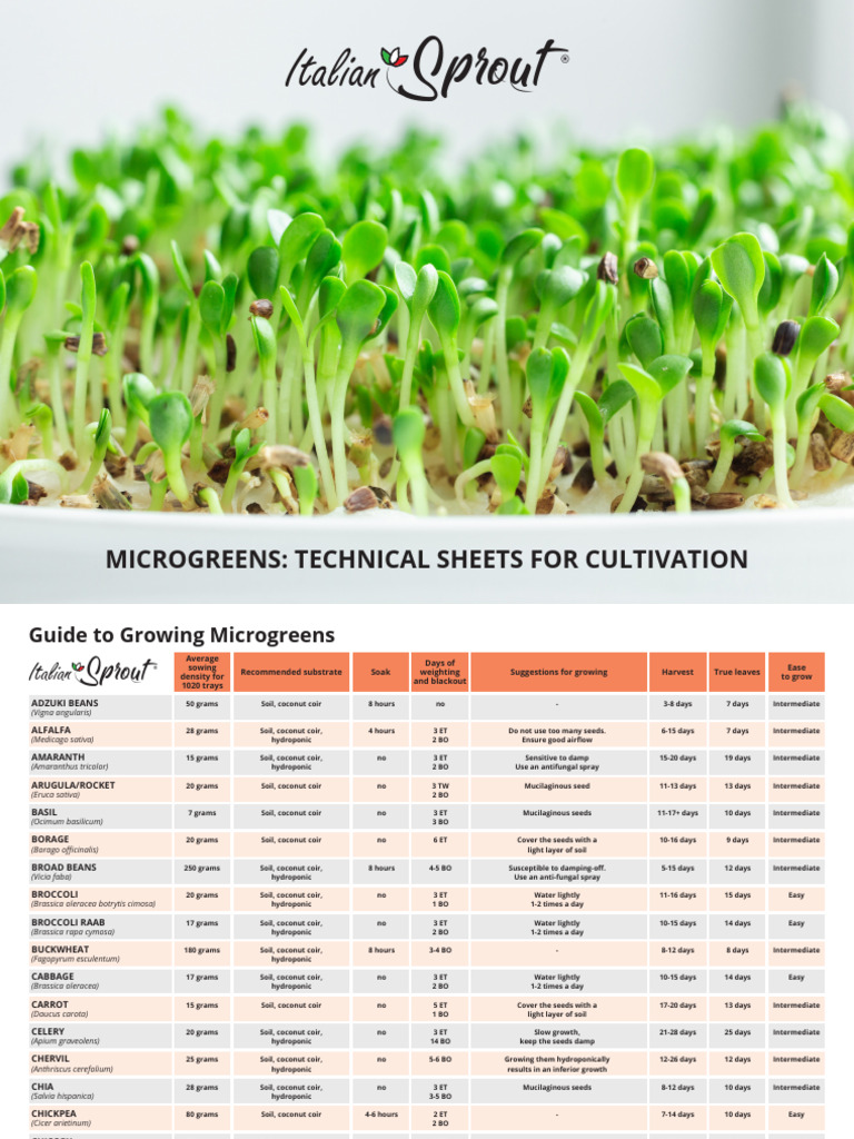Technical Sheets Microgreens | PDF | Hydroponics | Vegetables