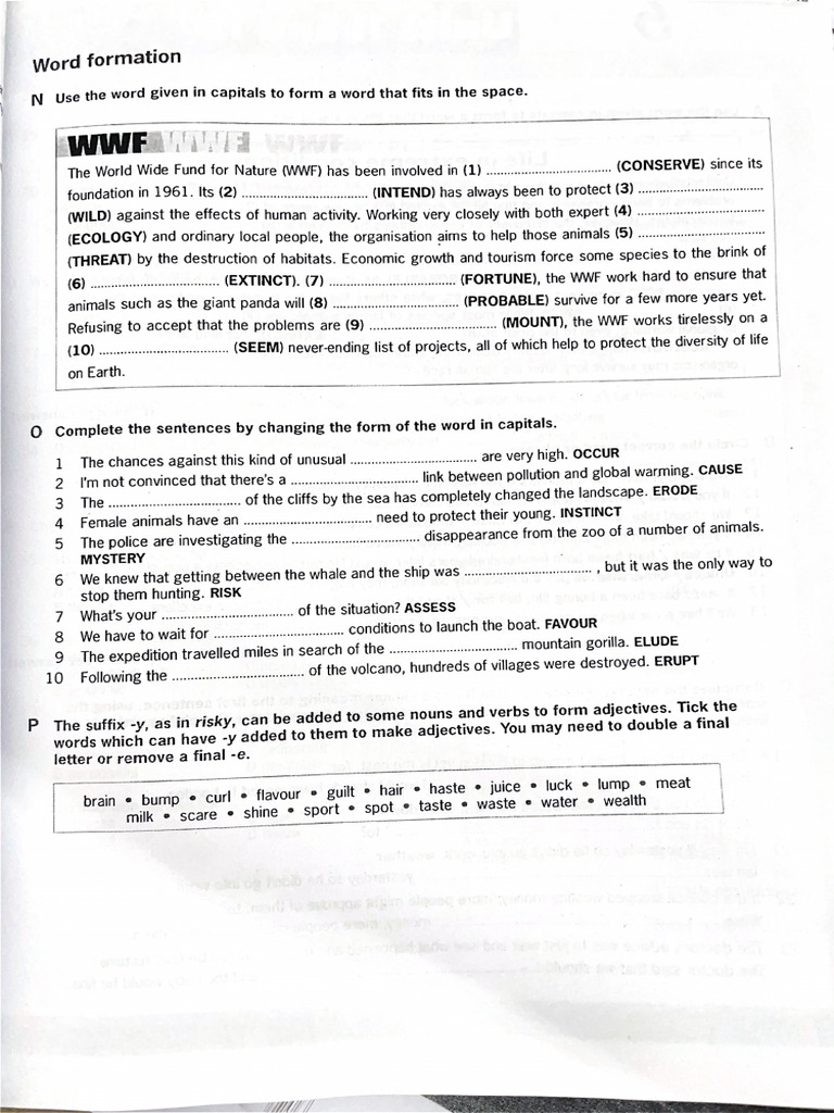 Word Formation and Phrasal Verbs | PDF