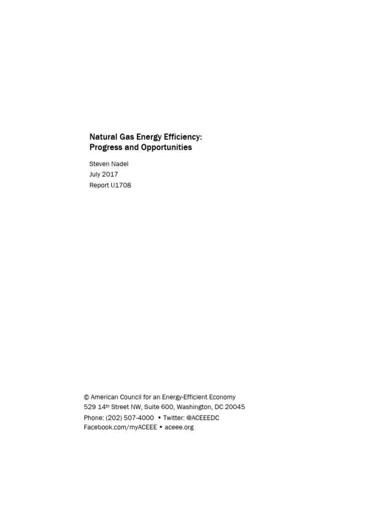 Natural Gas Efficiency Trends and Insights | PDF | Efficient Energy Use ...