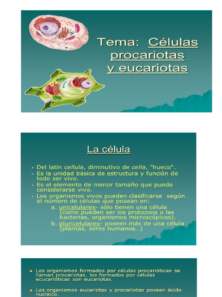 Presentación Tipos de Células | PDF