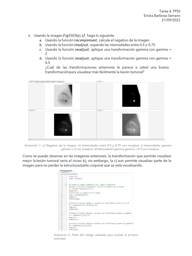 Tarea 4. FPDI (Ericka Barbosa) | PDF