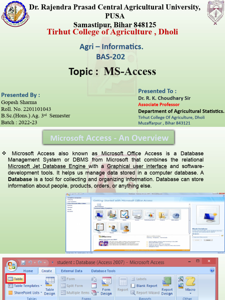 Overview of Microsoft Access Database | PDF | Microsoft Access | Databases